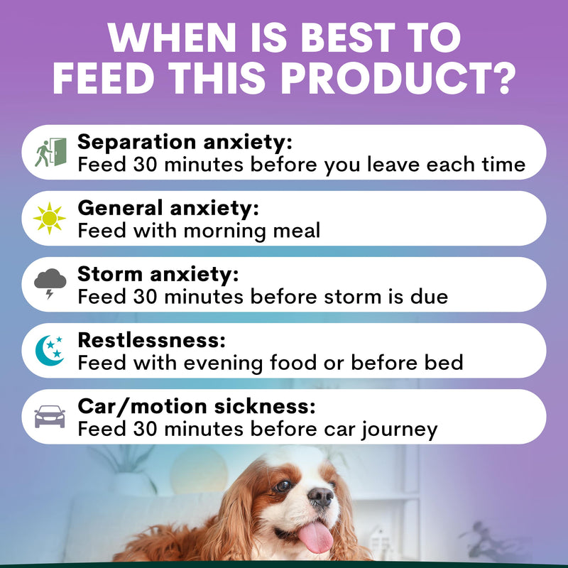 Dog Calming Product for Anxiety and Stress | Petz Park